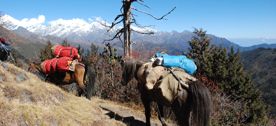 Uttarey Trek - My North East India My North East India